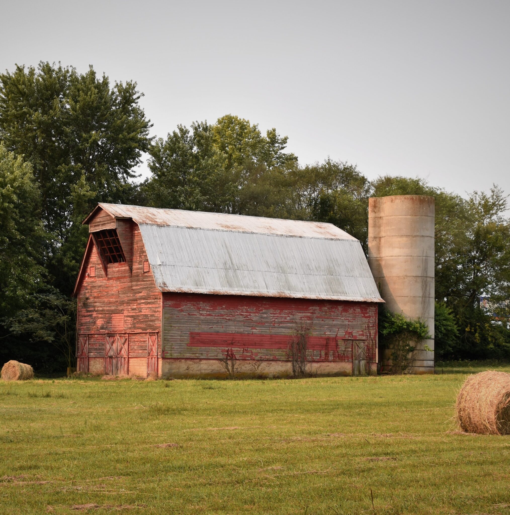 Red Barn in Summer - Barns Backroads & Byways Photography